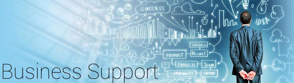 Business Support - CA Management Services